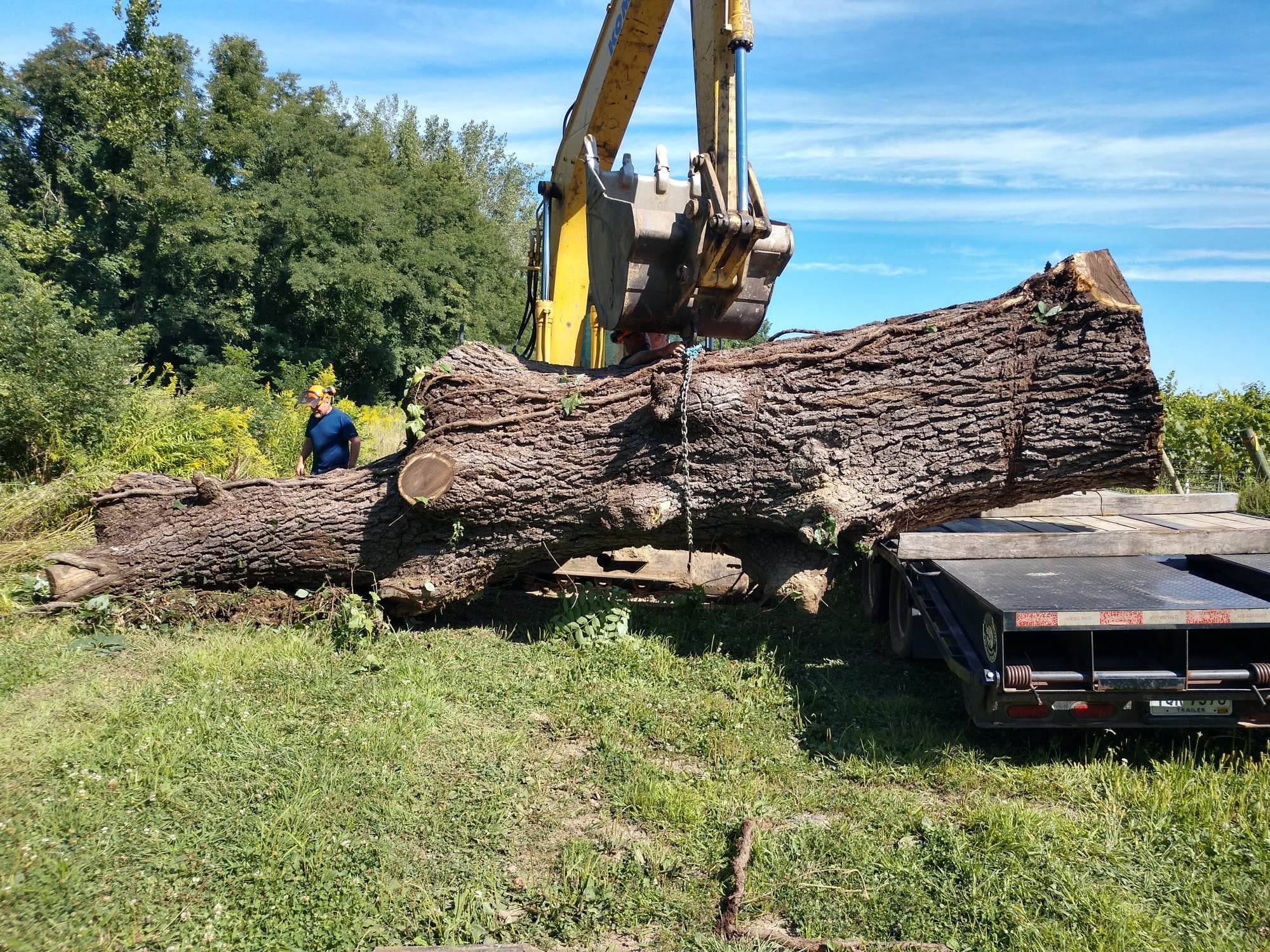 Lumber Yard - Ghost Logging