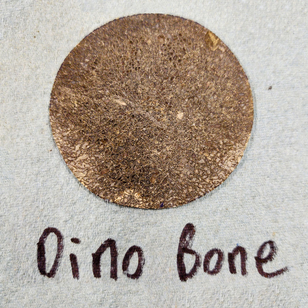 Dino Bone Rock Stone Surface - Ghost Logging