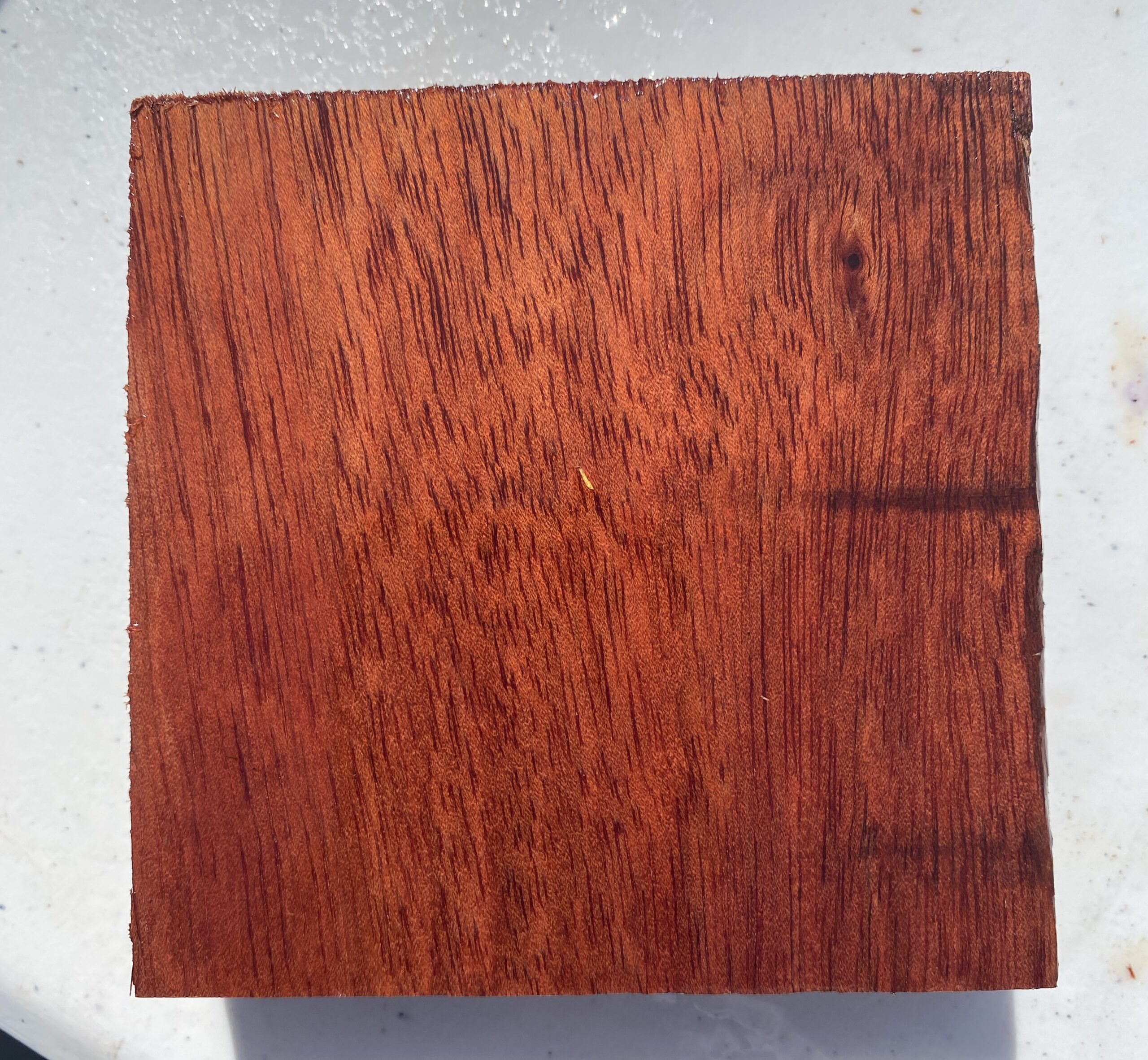 Bloodwood 4″x4″x1″ Pot Call - Ghost Logging