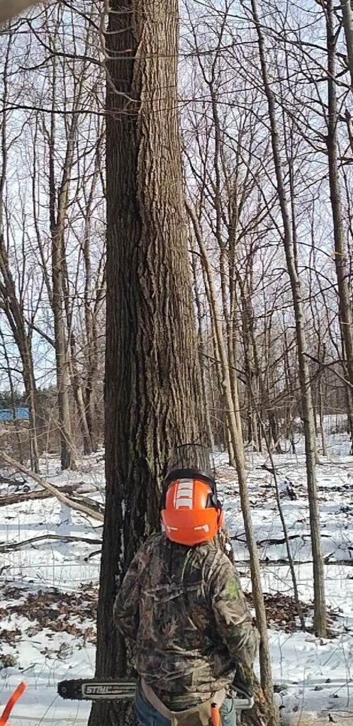 Logging - Ghost Logging