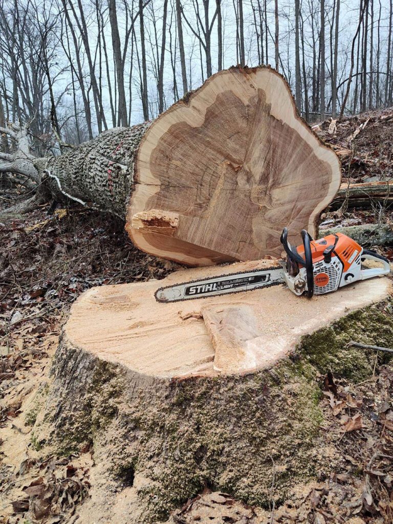 Logging - Ghost Logging